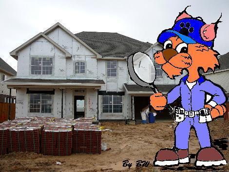 About WildKat - Wildcat Inspections