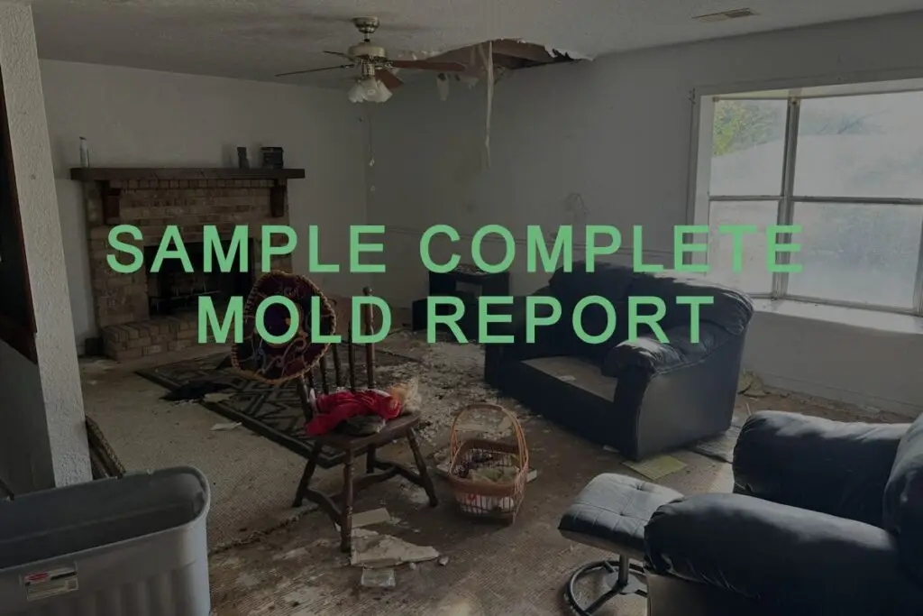 Mold Report - Wildcat Inspections