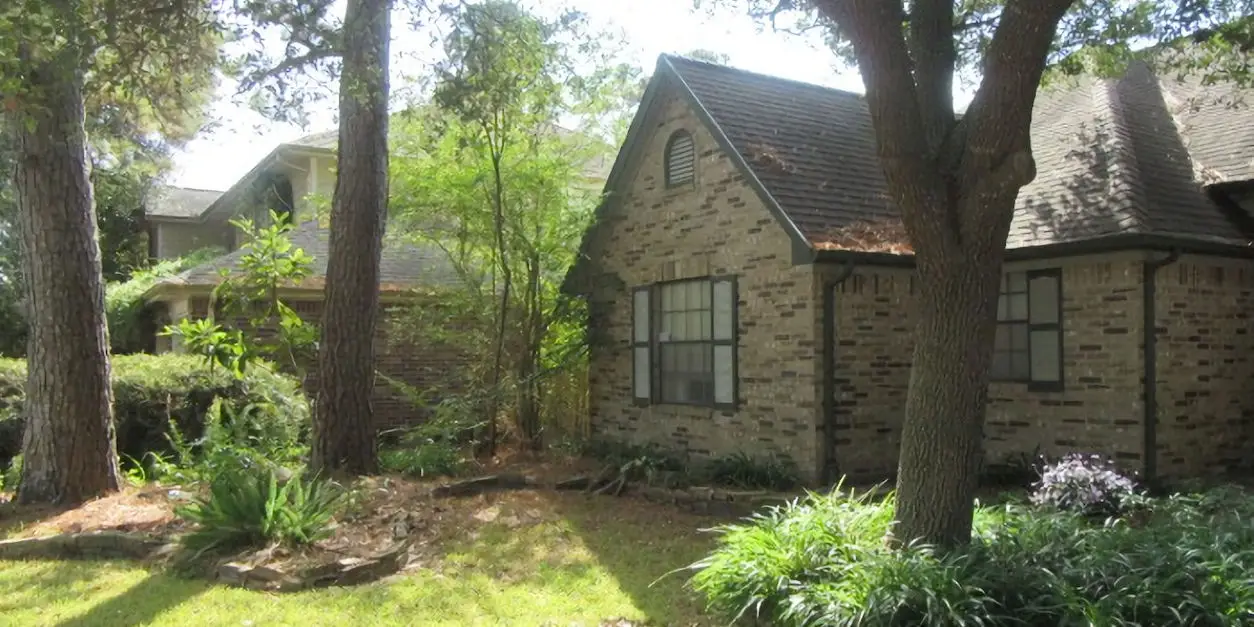 Foundation Damage By Trees - Wildcat Inspections